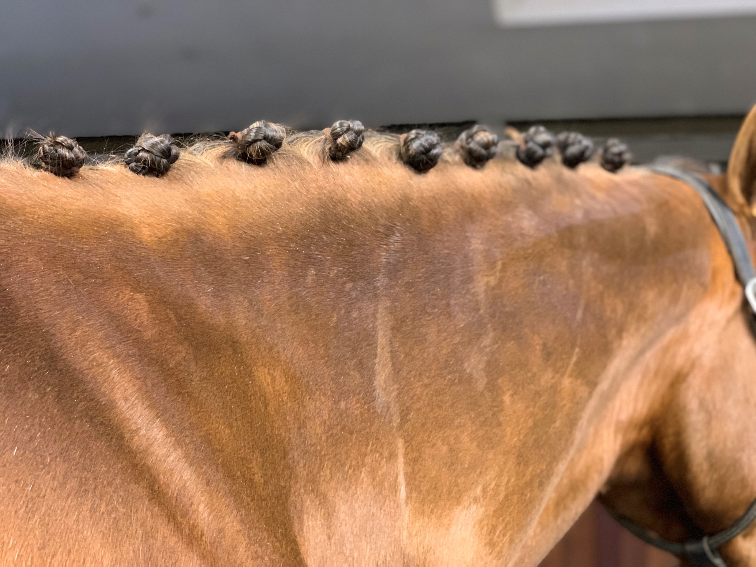 Button Braids Tutorial